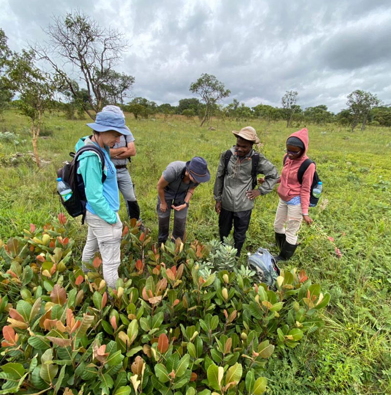 How we work - Future Ecosystems for Africa Program
