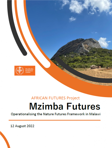 Reports - Future Ecosystems for Africa Program